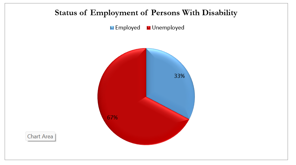 Disability & Work Place Inclusion in the Private Sector: A Critical ...